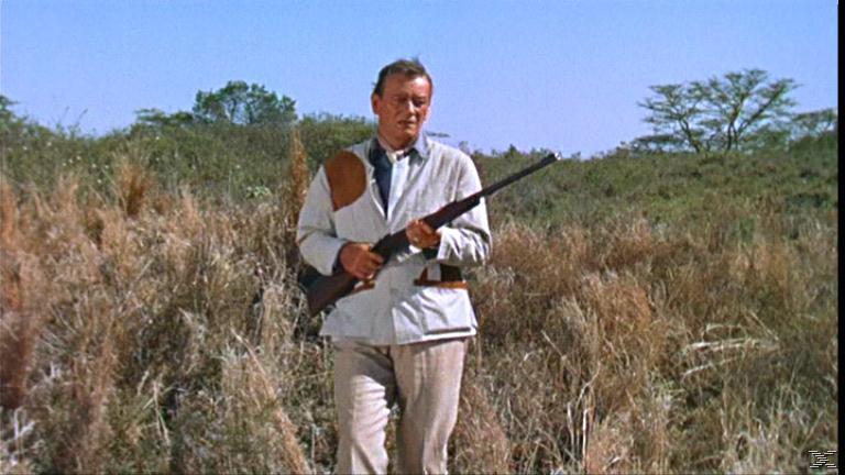 Hatari Blu-ray kaufen | SATURN