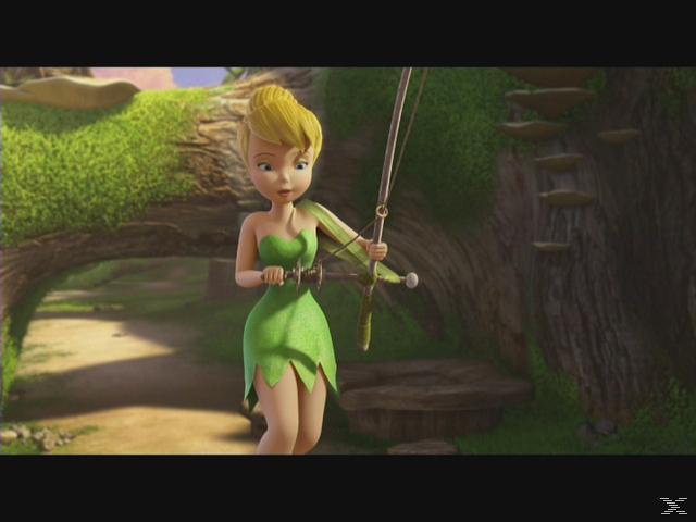 TinkerBell - Das Geheimnis der Feenflügel - DVD Disney Filme - [DVD ...